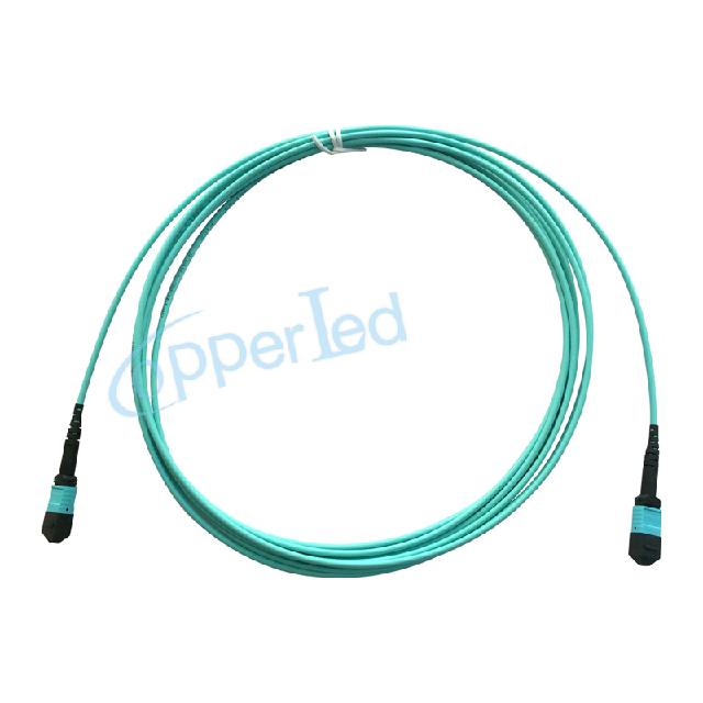 12CH MTP/F-MTP/F Round Cable OM3 (50/125) LSZH 5M